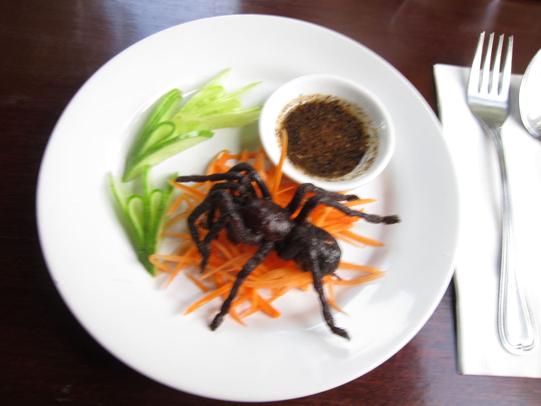 Cambodia - Kingdom of Wonder - Zest and Curiosity - Travel Tips