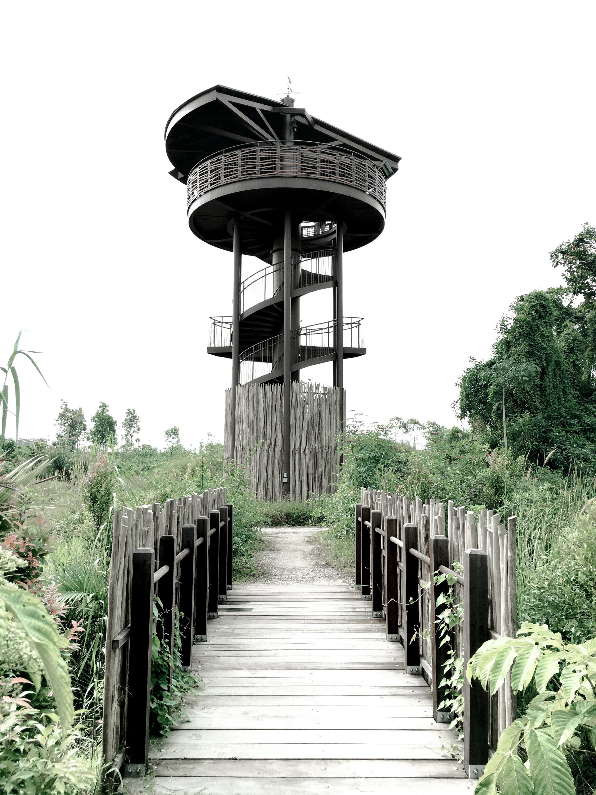 Singapore Architecture - John's Top 8 Picks - Zest and Curiosity