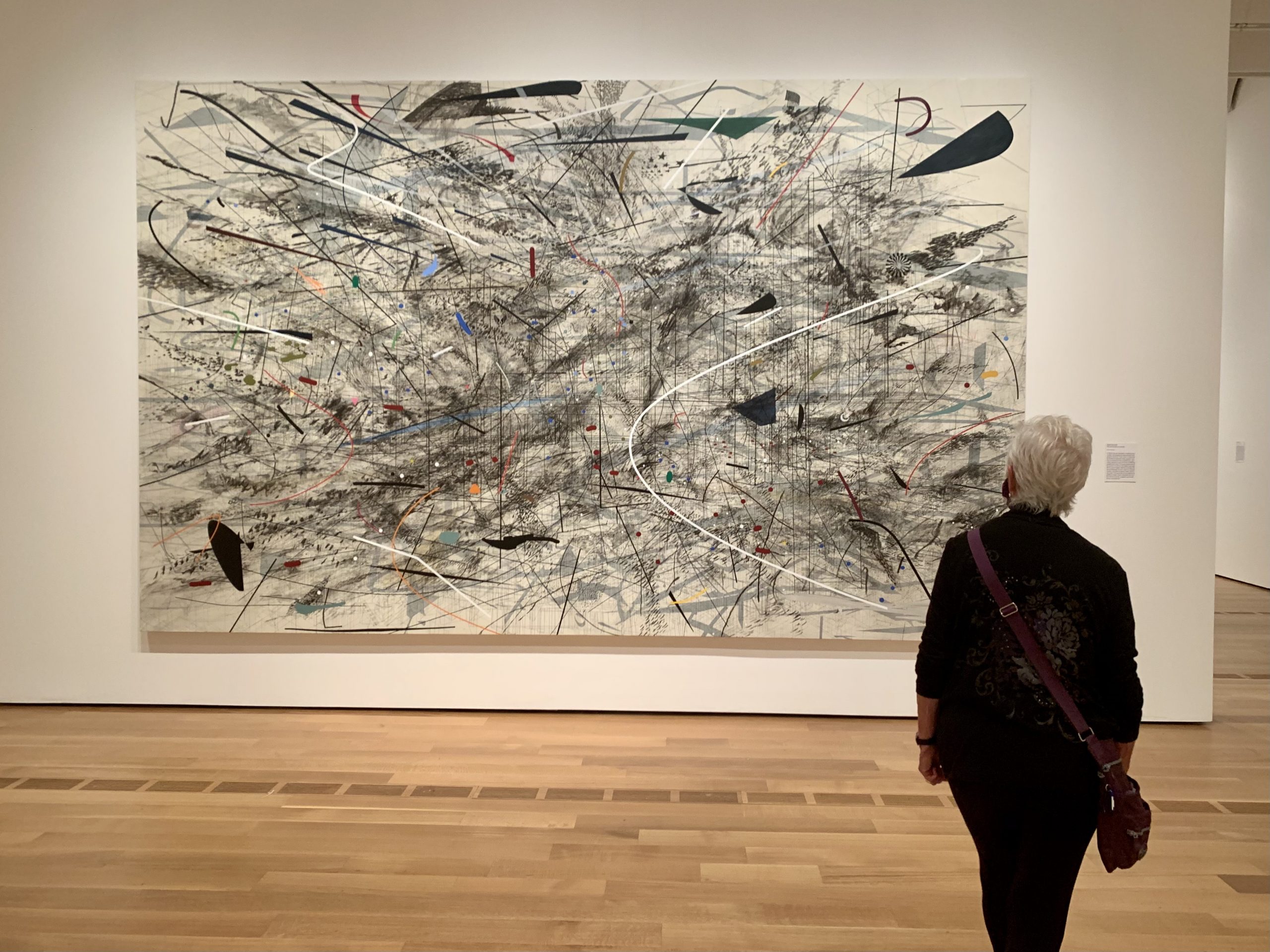 Julie Mehretu - The Art of Intricacy - Zest and Curiosity - High Museum